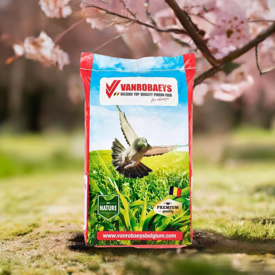 Vanrobaeys – De Zevenster